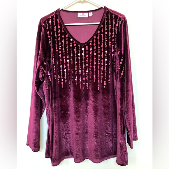 Quacker Factory | Tops | Quacker Factory Soft Velour Embellished Top ...